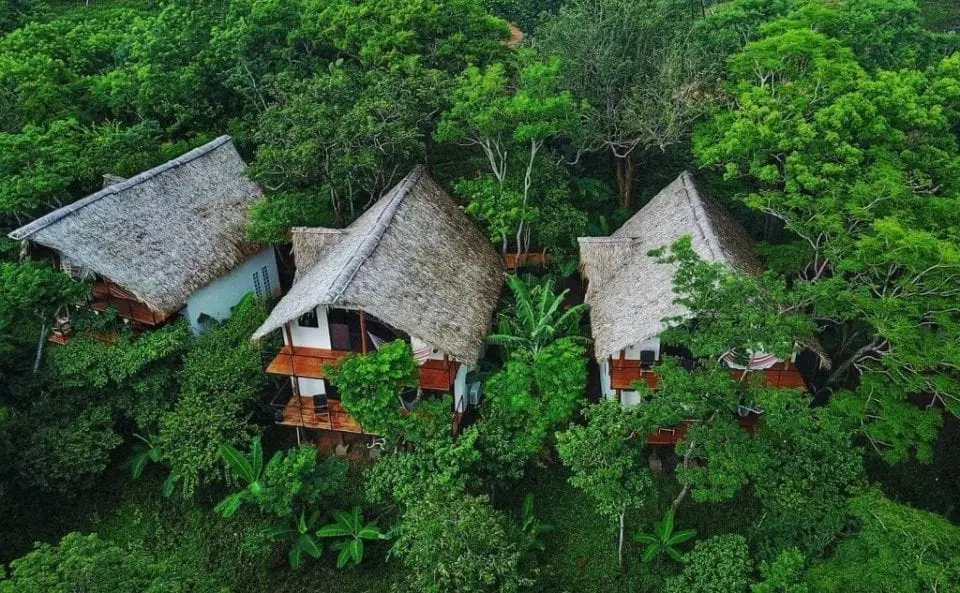 Explore the Beauty of Nature from Above with These Stunning Treehouse ...